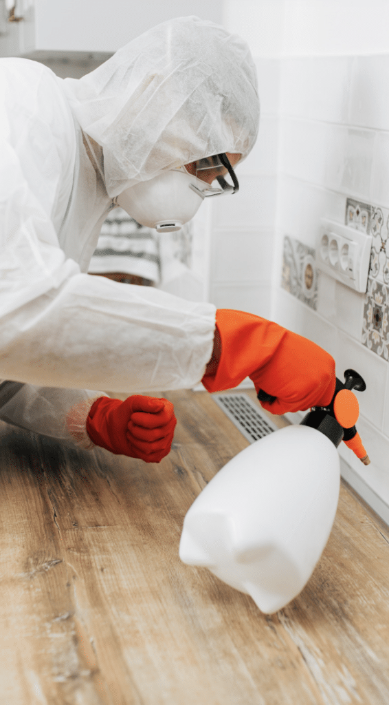 What Does Sustainable Pest Control Mean?